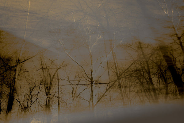 Todd Stuart, artist, Peace, ADC Fine Art, photography, original art ...